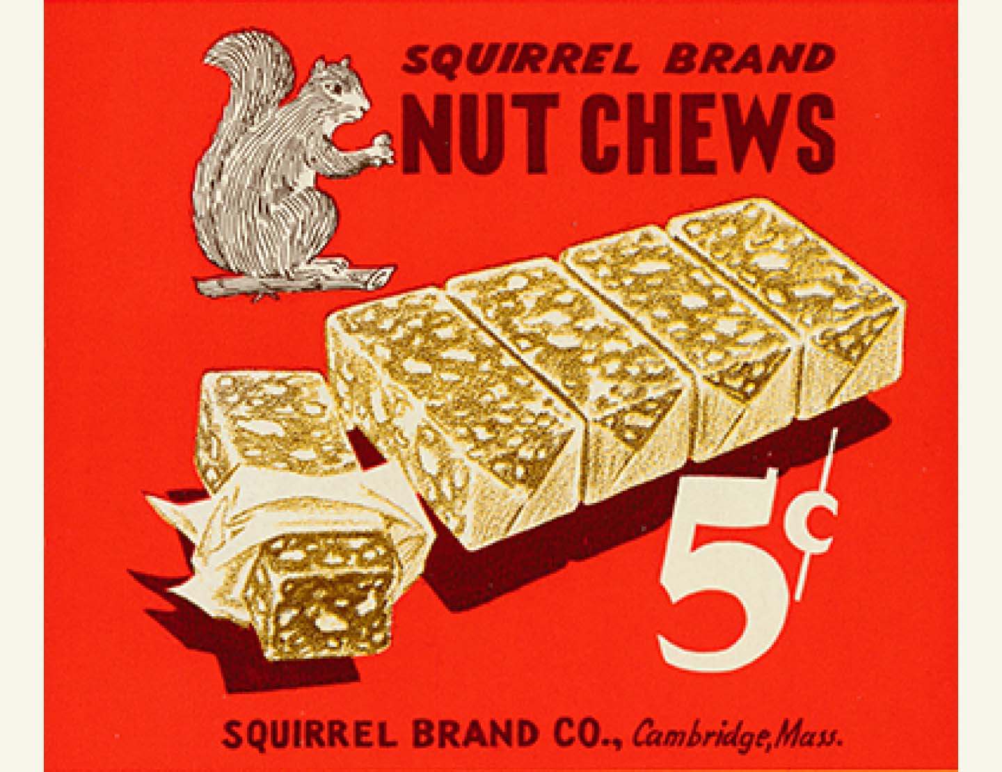 About Us – Squirrel Nuts