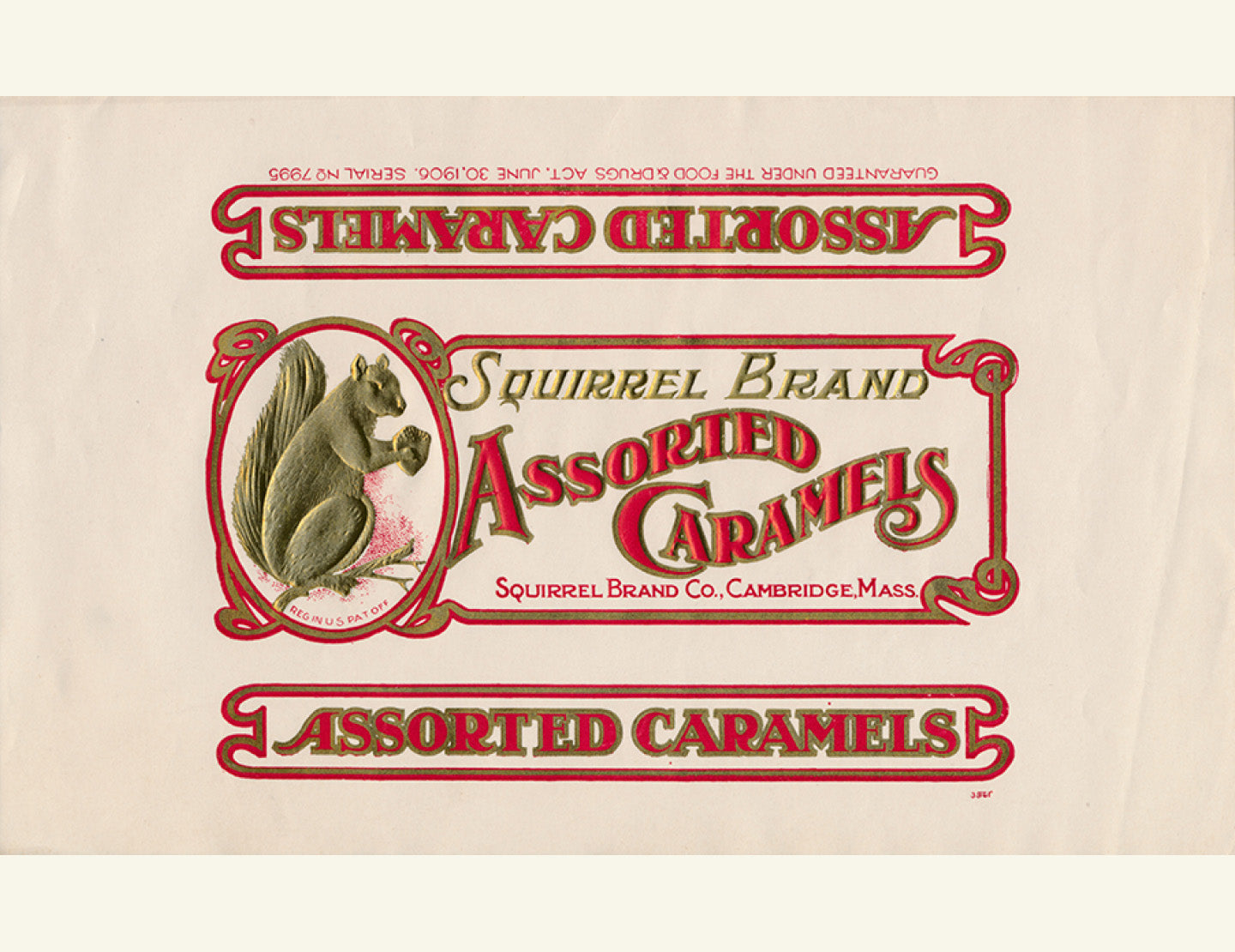 About Us – Squirrel Nuts