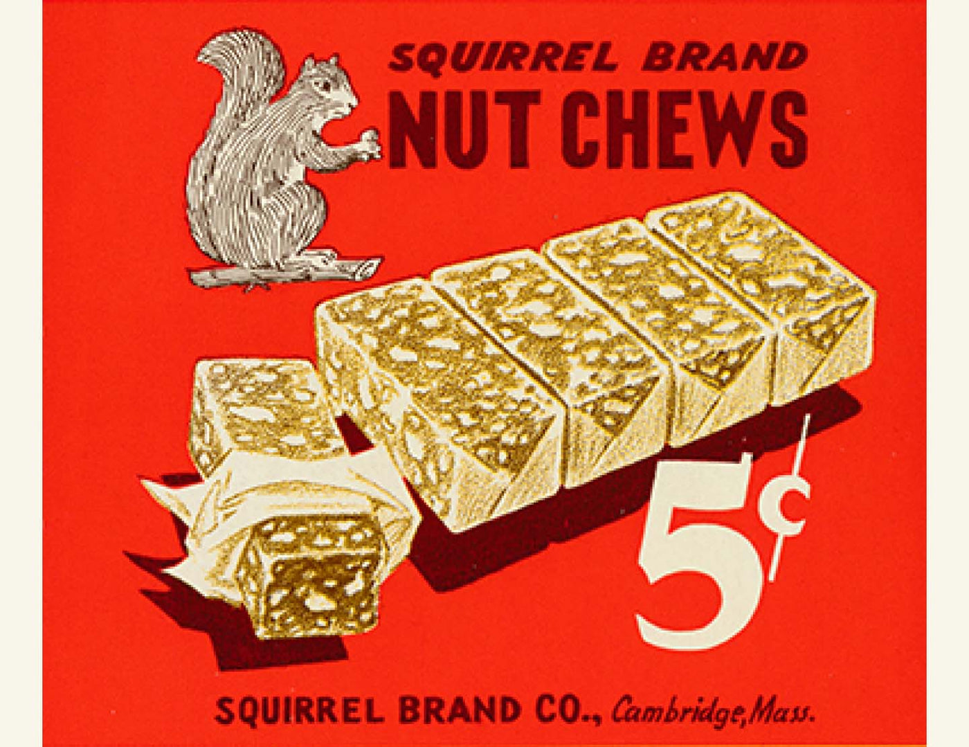 About Us – Squirrel Nuts