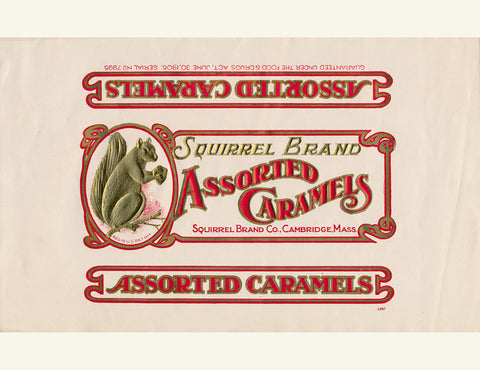 About Us – Squirrel Nuts